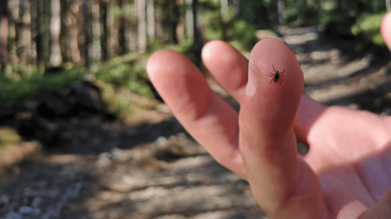 Can HBOT Help Manage Lyme’s Disease? - I Want Media